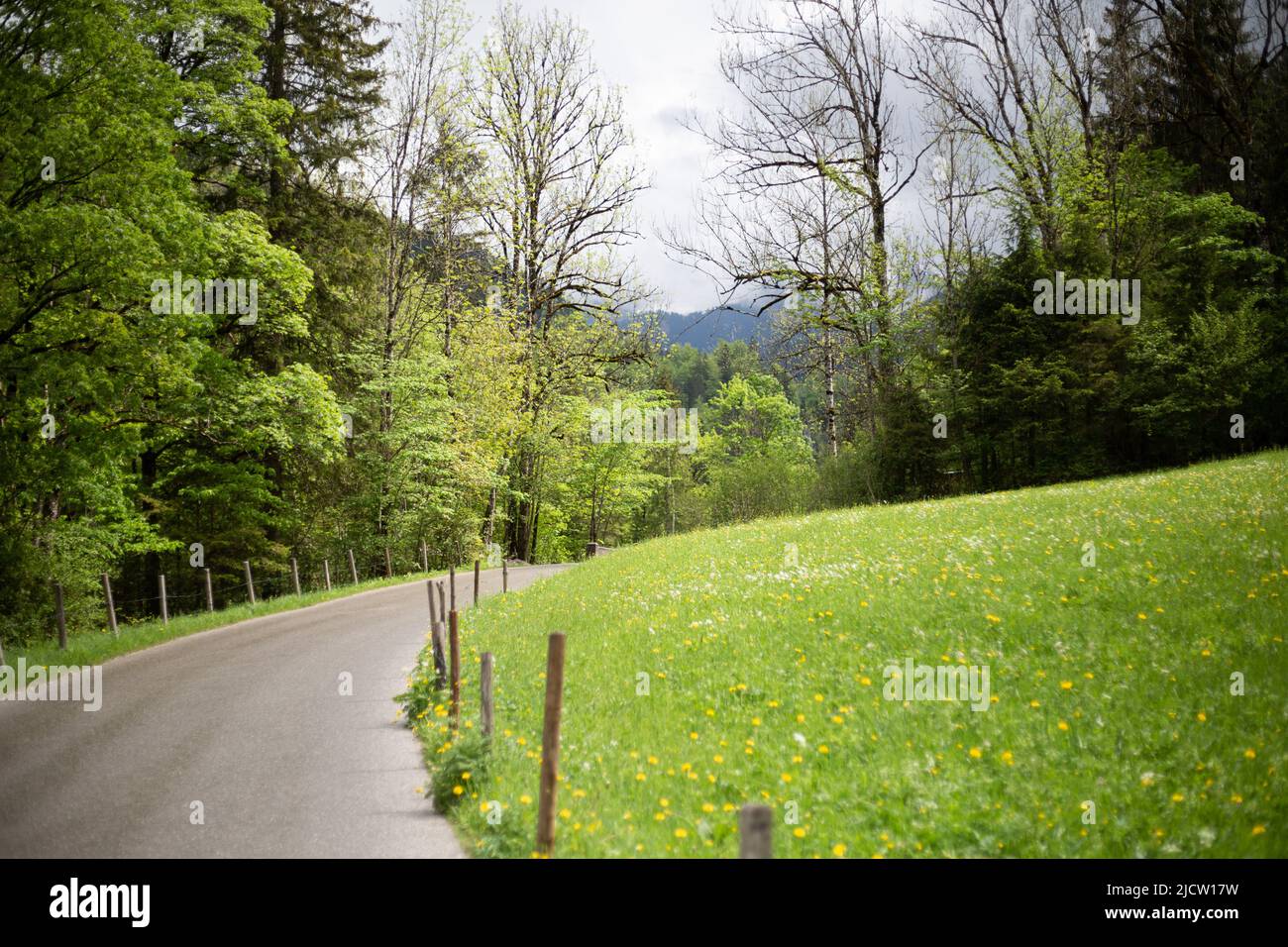 Garmisch Partenkirchen, Germany. 05th June, 2022. Hiking through the ...