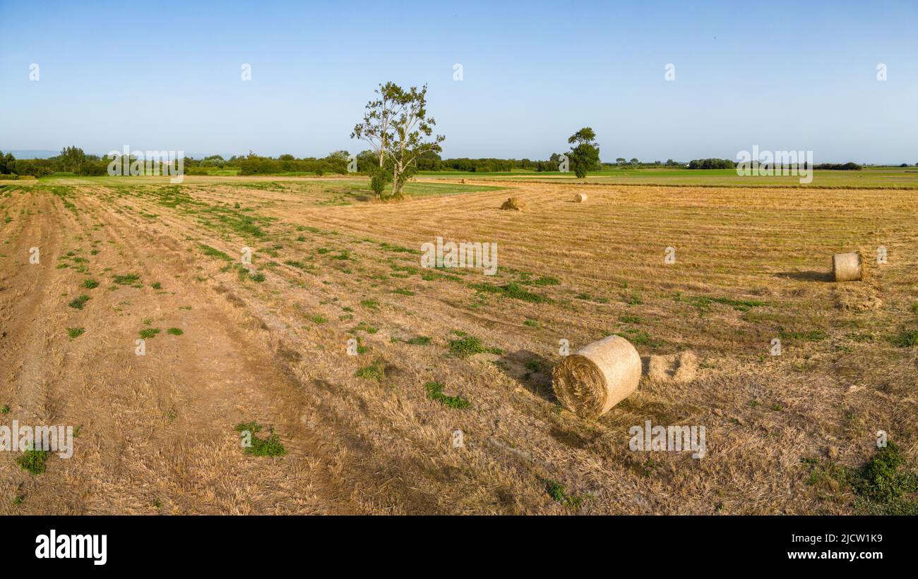Aerial View of rural landscape near the Aveiro Lagoon at Murtosa ...