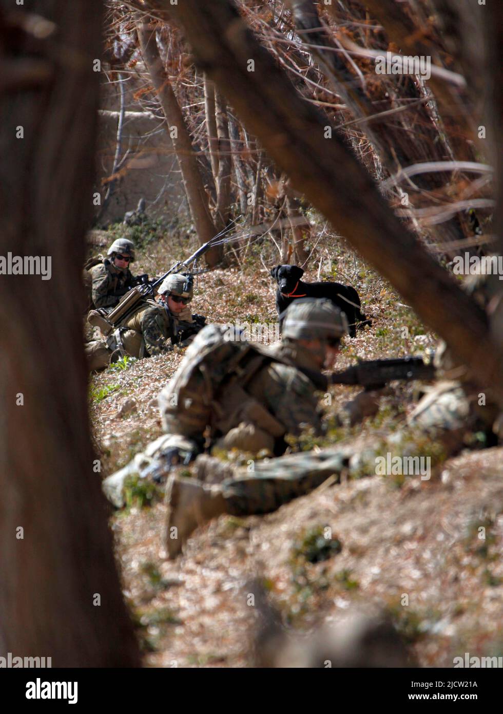 U.S. Marines with Bravo Company, 1st Battalion, 8th Marine Regiment (1/8), Regimental Combat ...