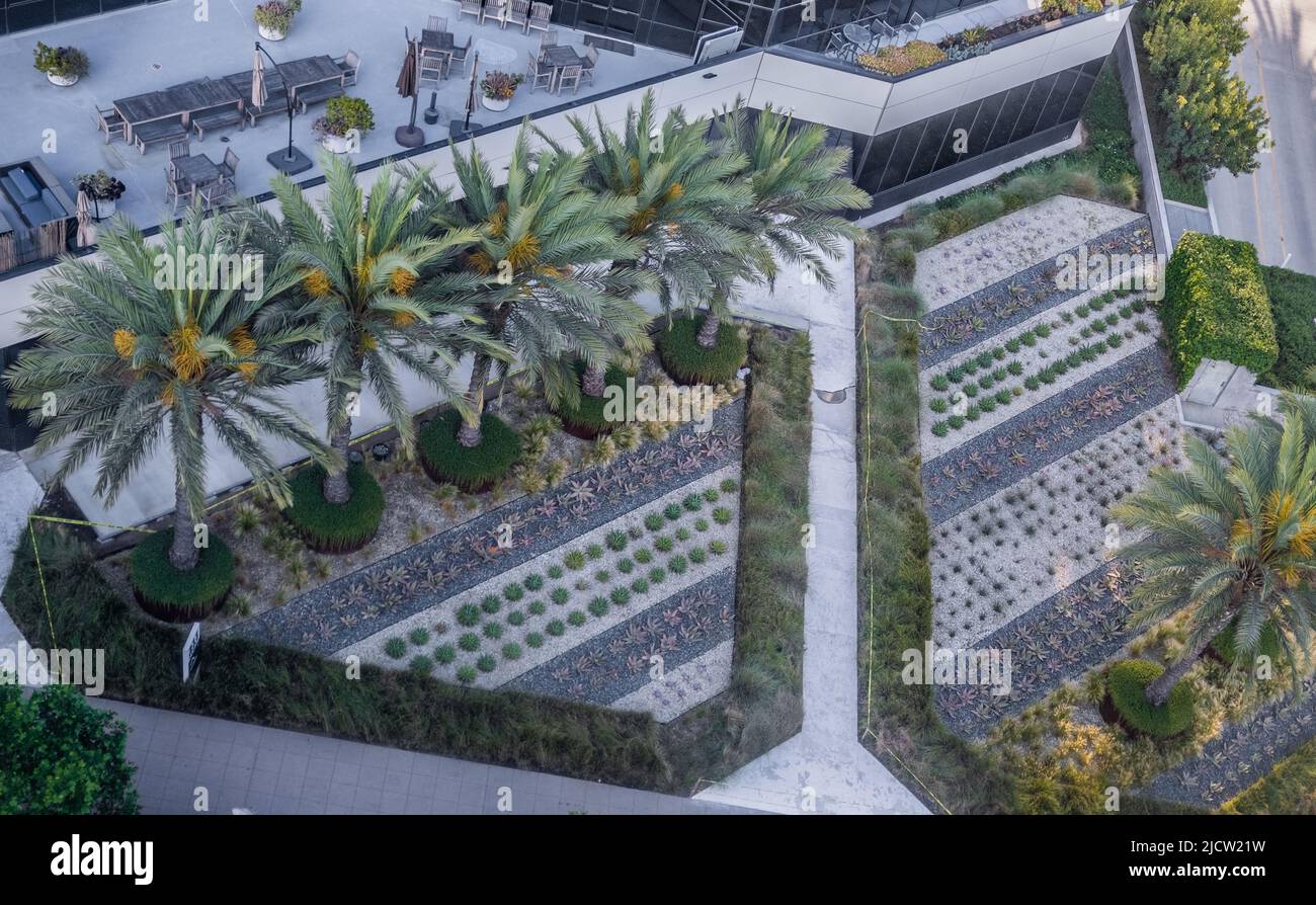 Formal landscaped area by modern office building Stock Photo - Alamy