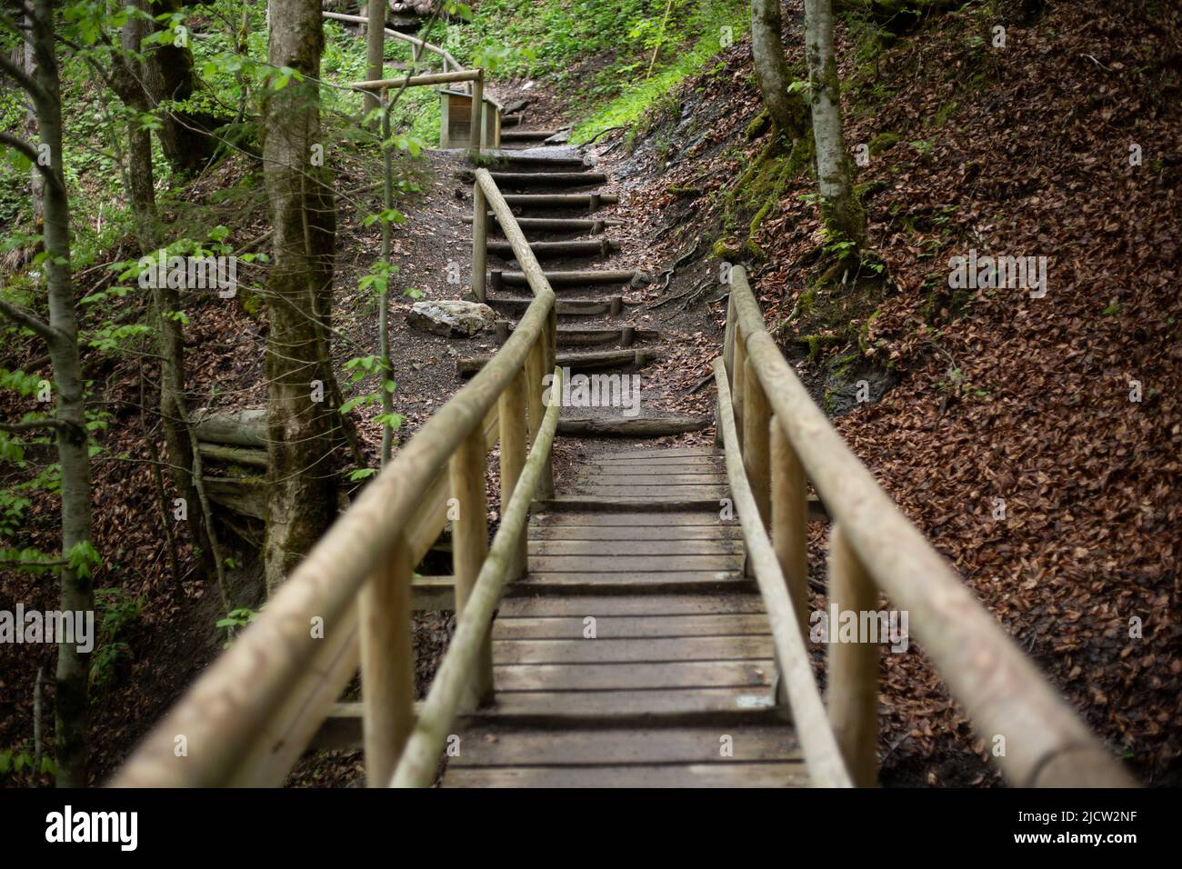 Garmisch Partenkirchen, Germany. 05th June, 2022. Hiking through the ...