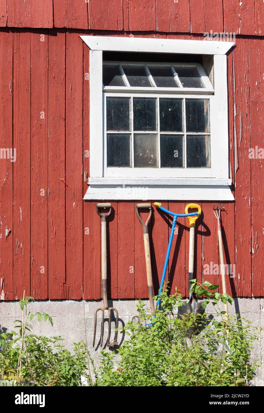 Red Barn exterior with white window and garden tools Stock Photo - Alamy