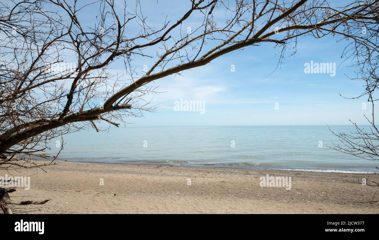 The Lake Erie shoreline in springtime at Point Pelee National Park in ...