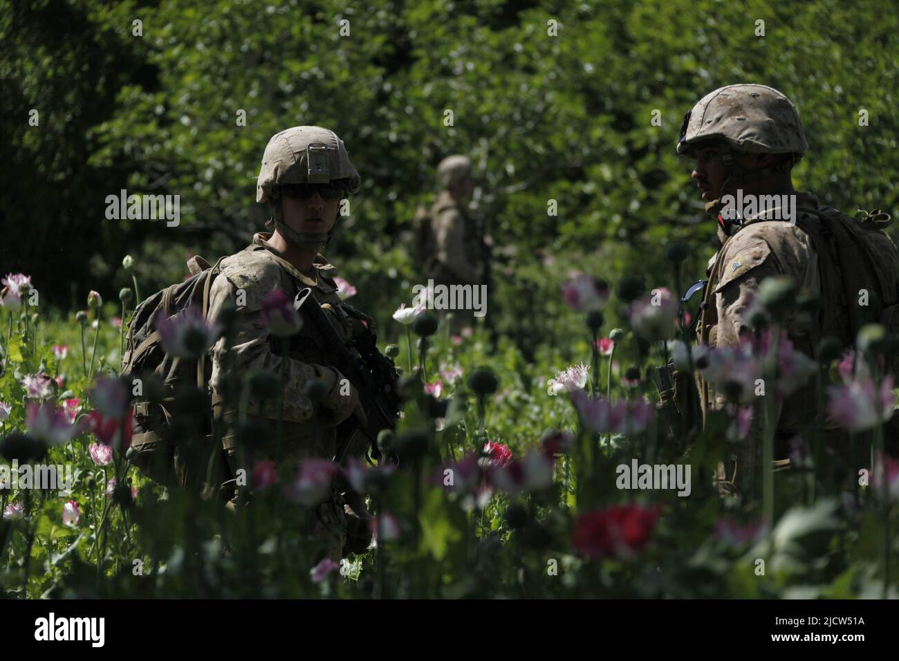 U.S. Marines with 1st Battalion, 8th Marine Regiment (1/8), Regimental ...