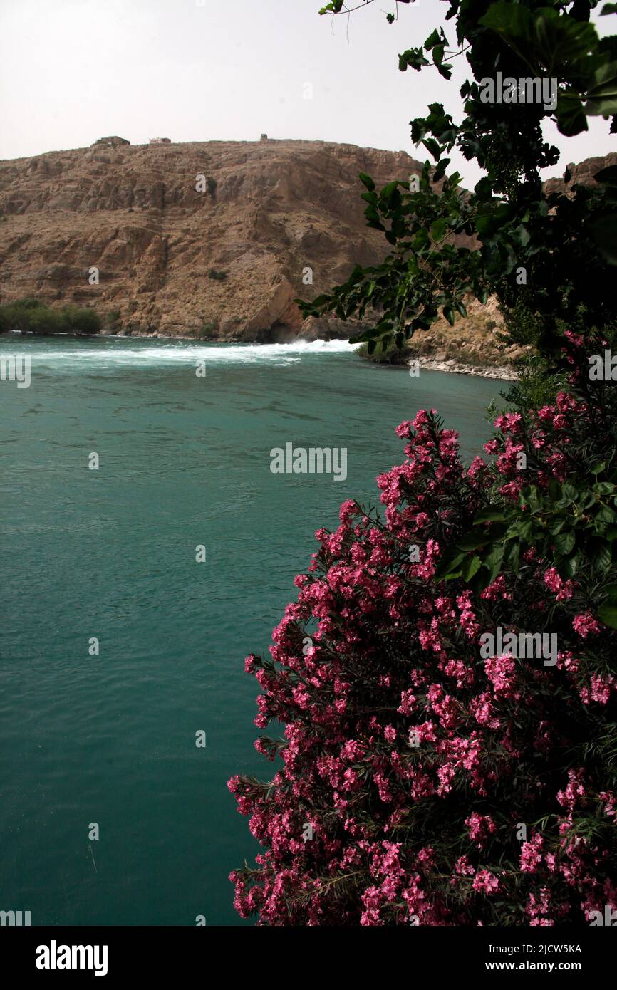 Wild flowers bloom at the Kajaki Dam in Kajaki, Helmand province ...