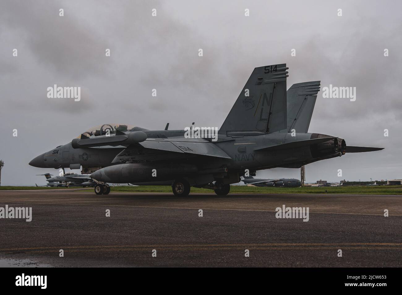 A U.S. Navy E/A-18G Growler aircraft assigned to Electronic Attack ...