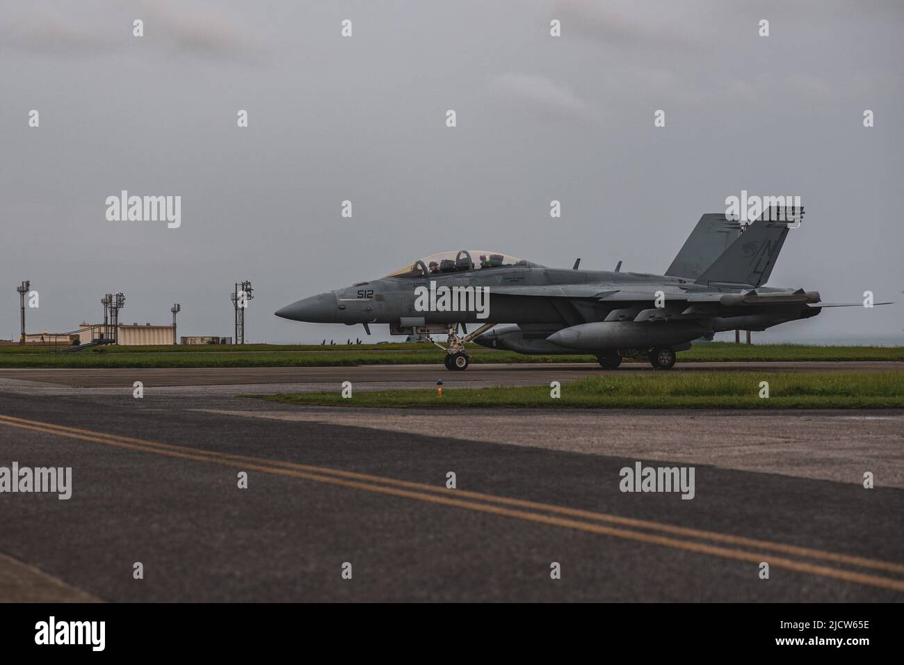 A U.S. Navy E/A-18G Growler aircraft assigned to Electronic Attack ...