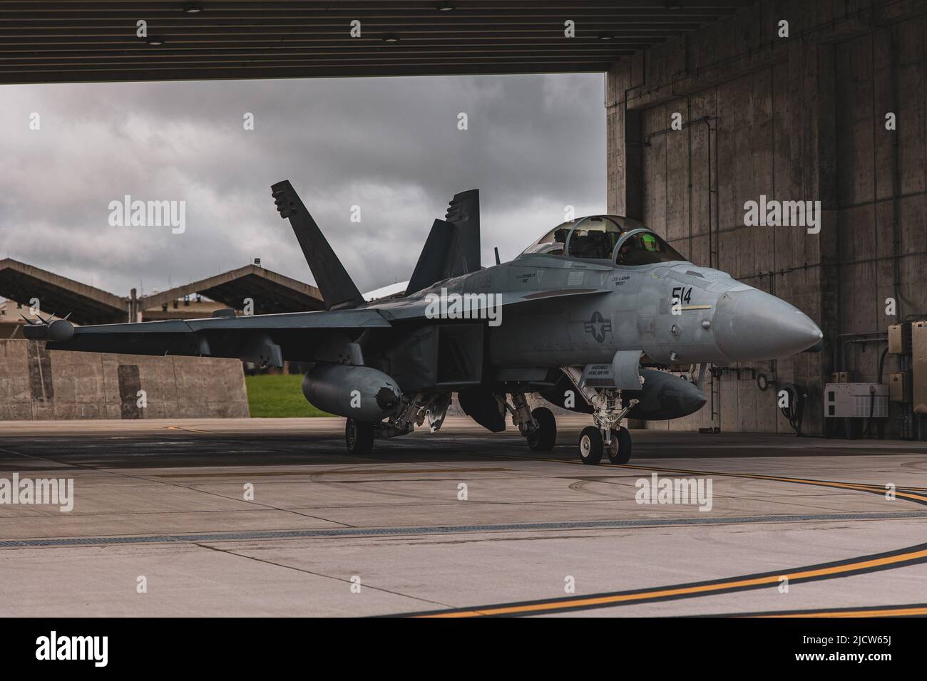 A U.S. Navy E/A-18G Growler aircraft assigned to Electronic Attack ...