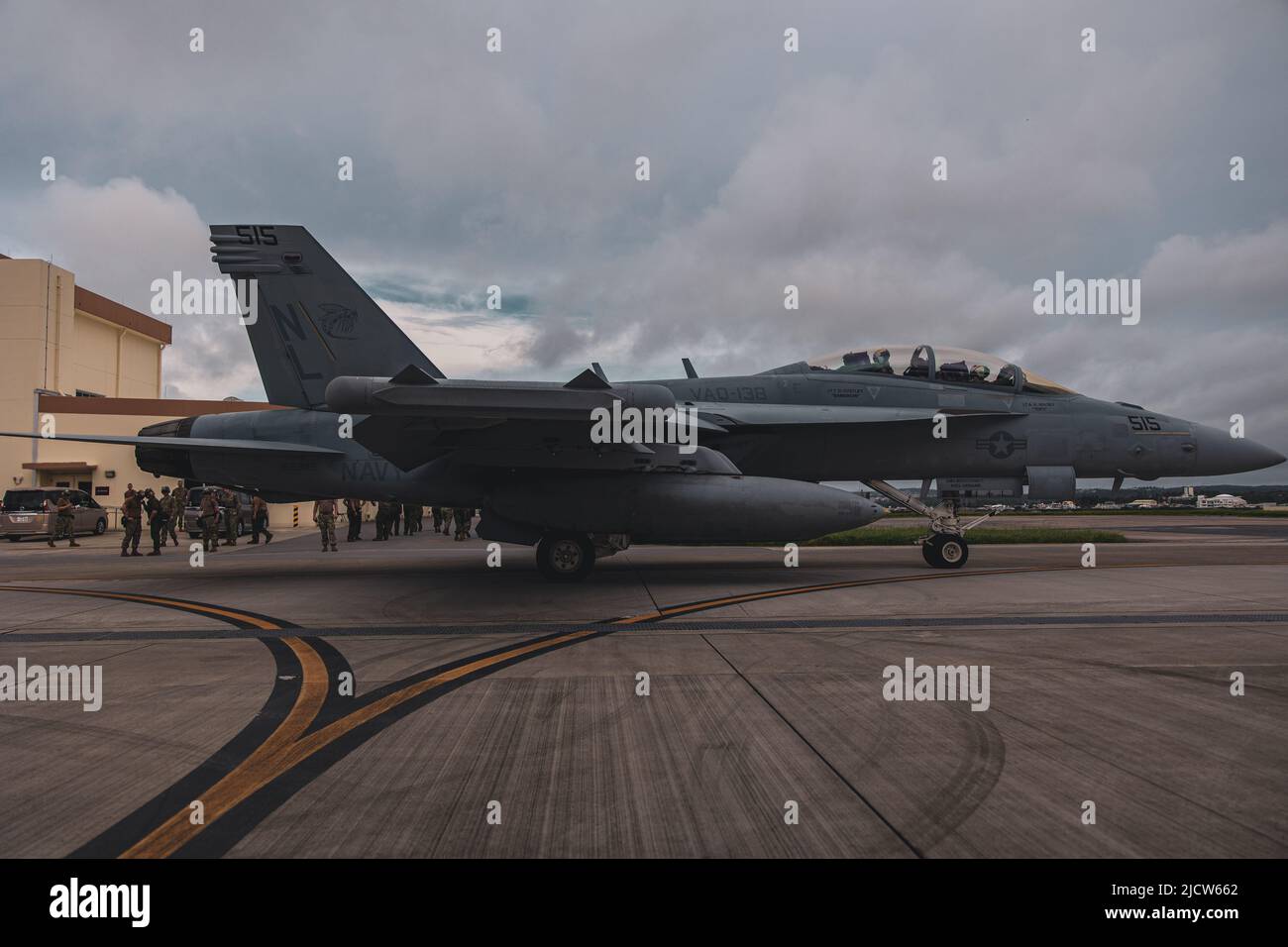 A U.S. Navy E/A-18G Growler aircraft assigned to Electronic Attack ...