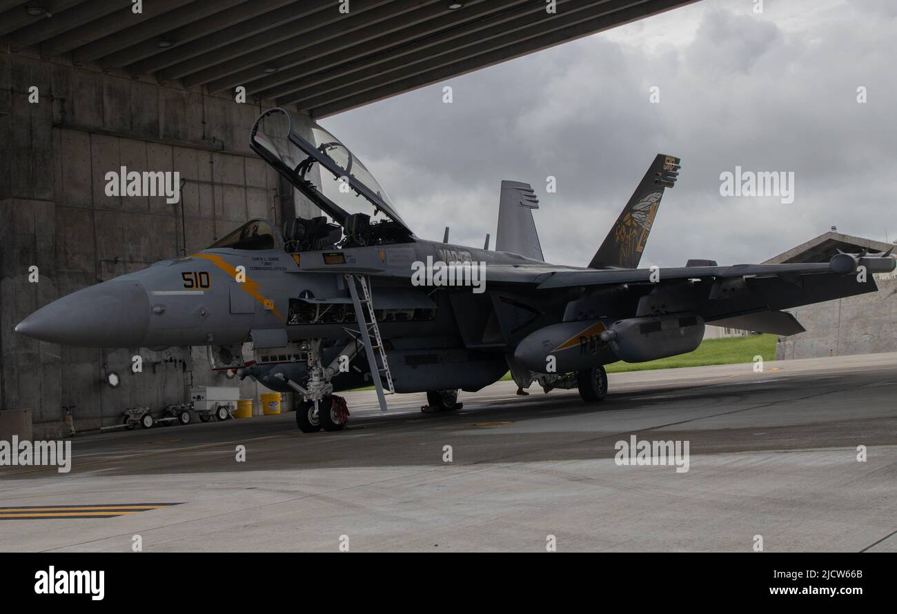 A U.S. Navy E/A-18G Growler aircraft assigned to Electronic Attack ...