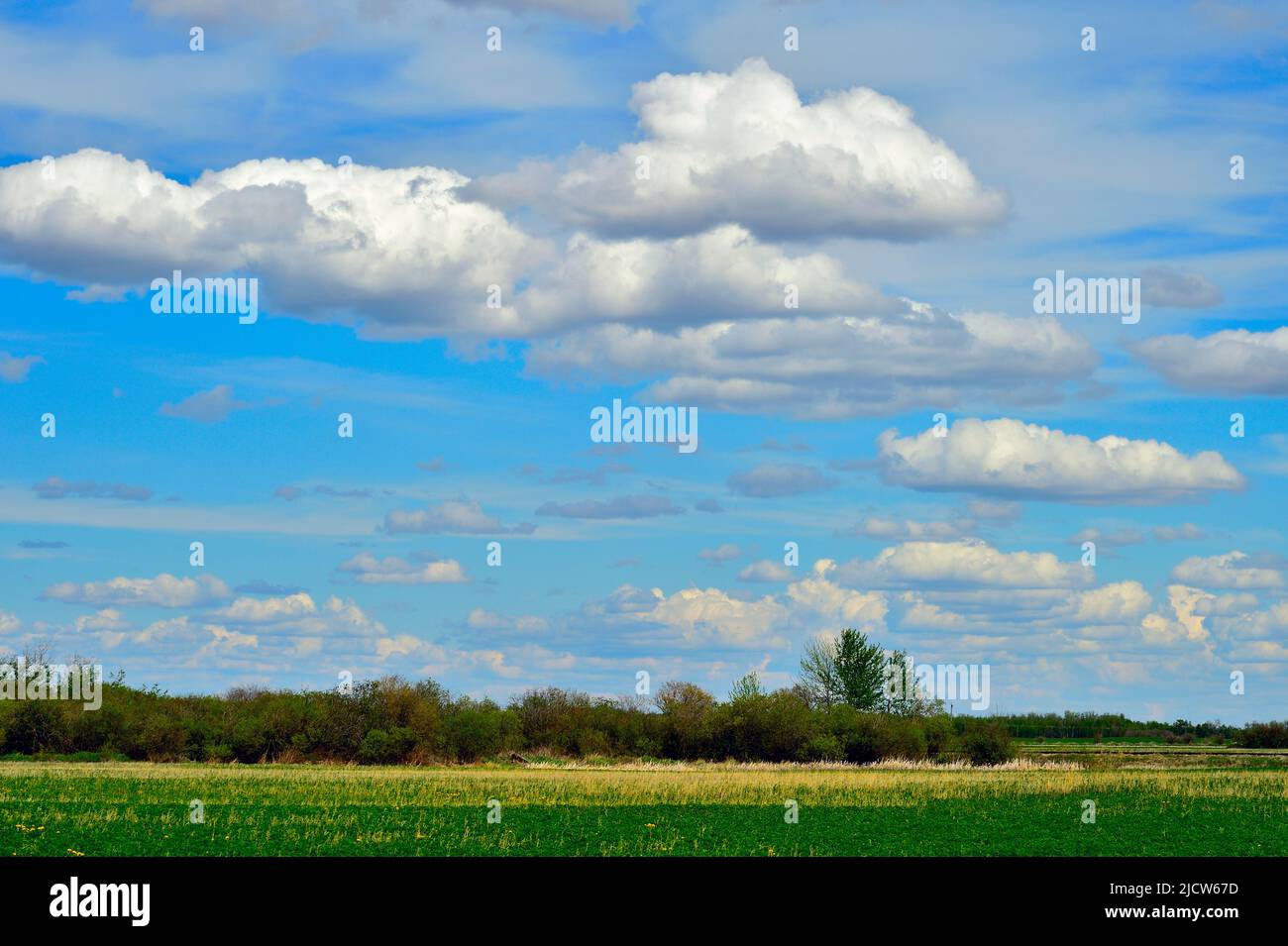 Sunny alberta hi-res stock photography and images - Alamy