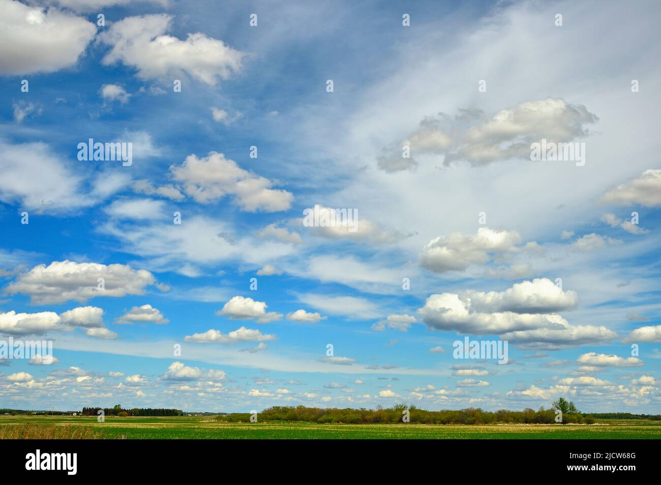 A beautiful sunny afternoon in rural Alberta Canada Stock Photo - Alamy
