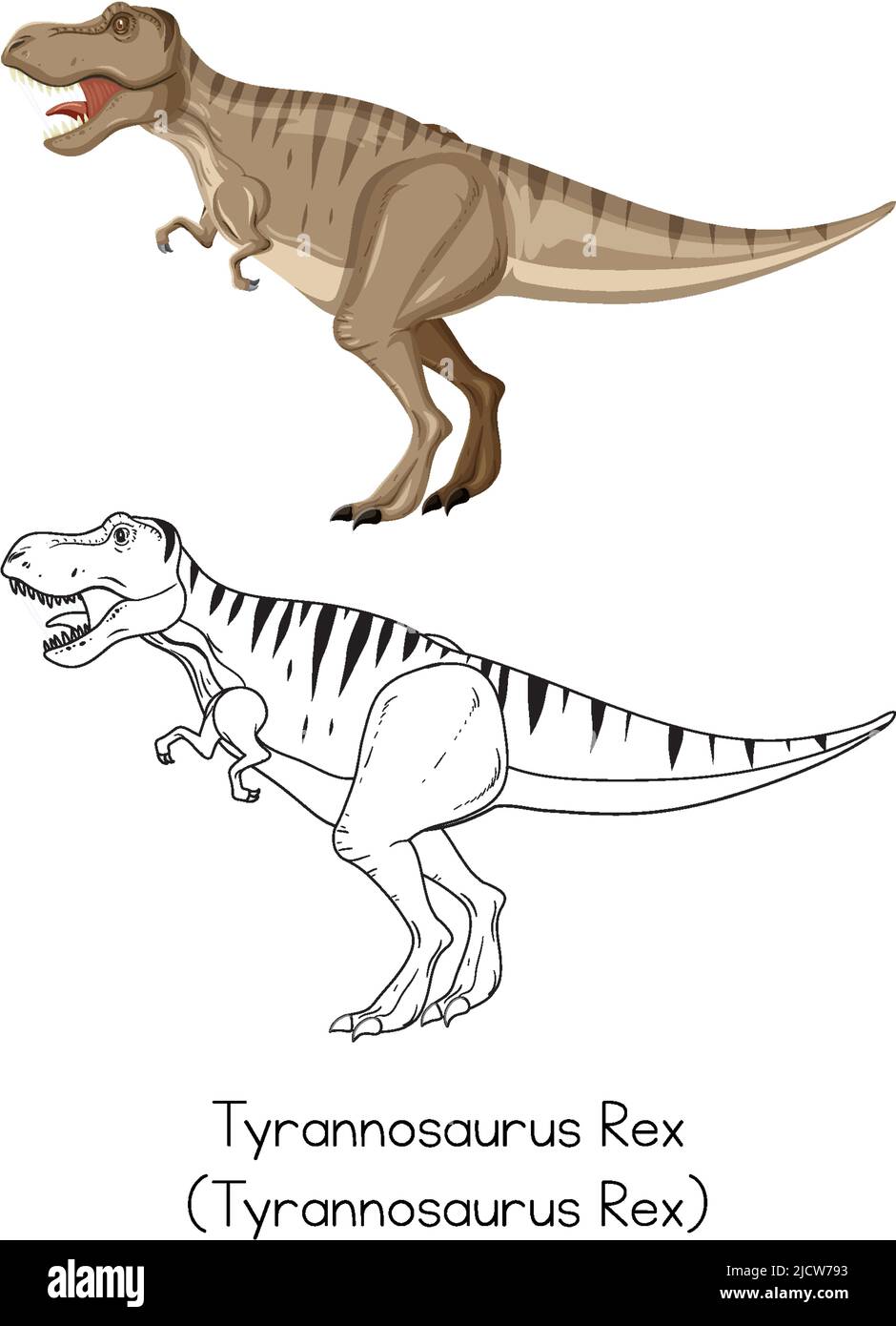 Dinosaur sketching of tyrannosaurus rex illustration Stock Vector Image & Art - Alamy