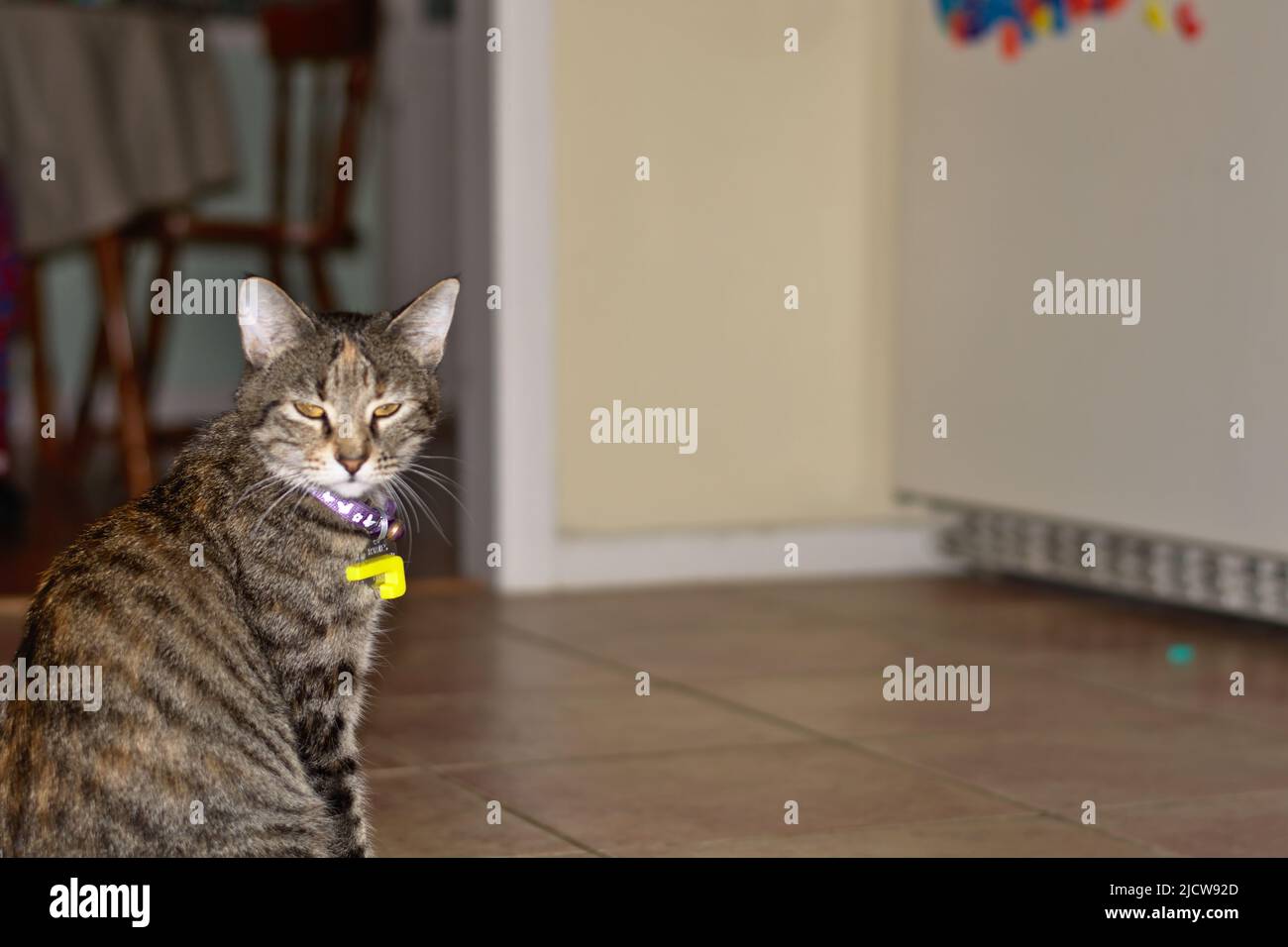 Alphabet magnets hi-res stock photography and images - Alamy