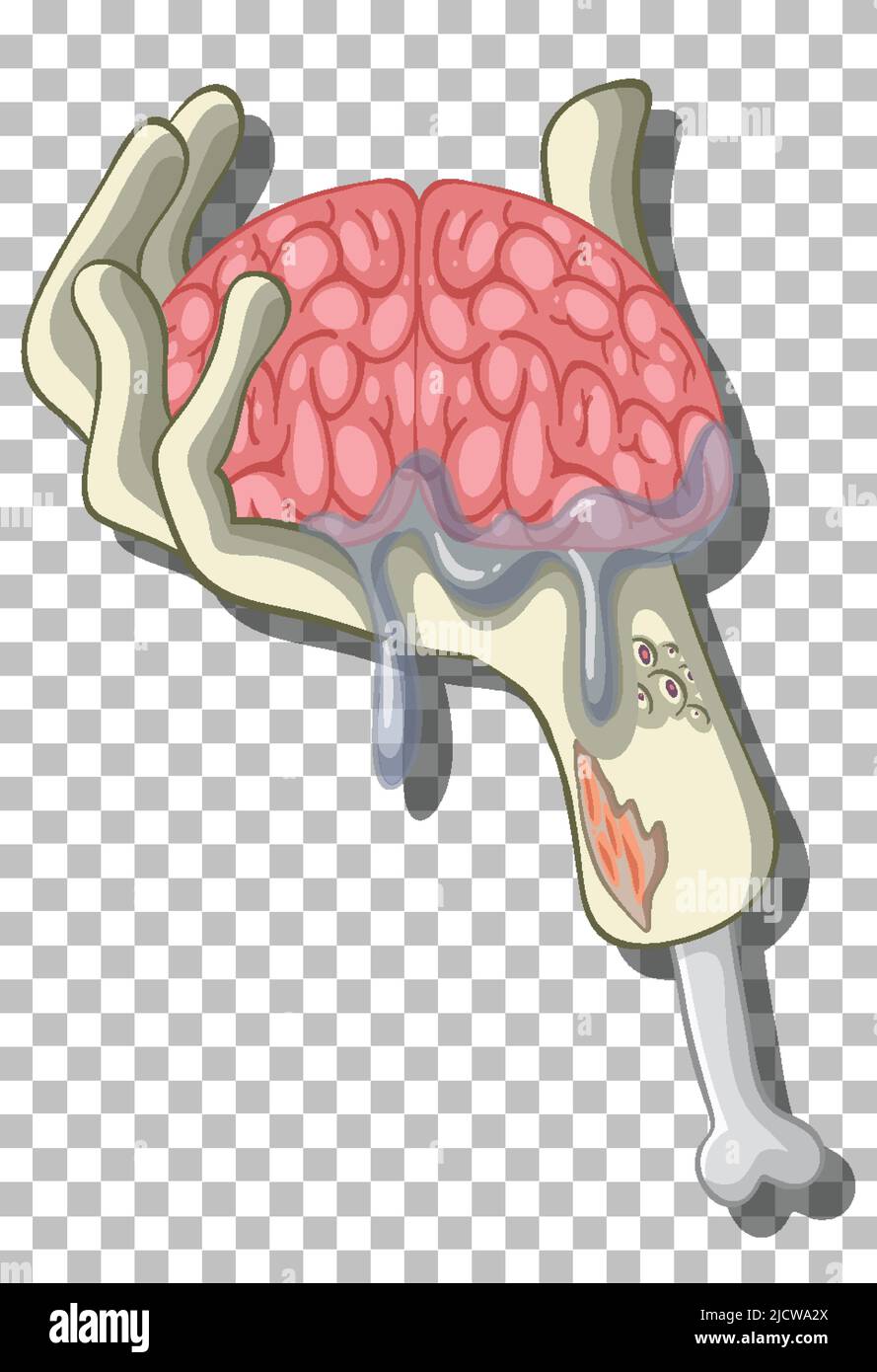 Creepy hand holding brain illustration Stock Vector Image & Art - Alamy