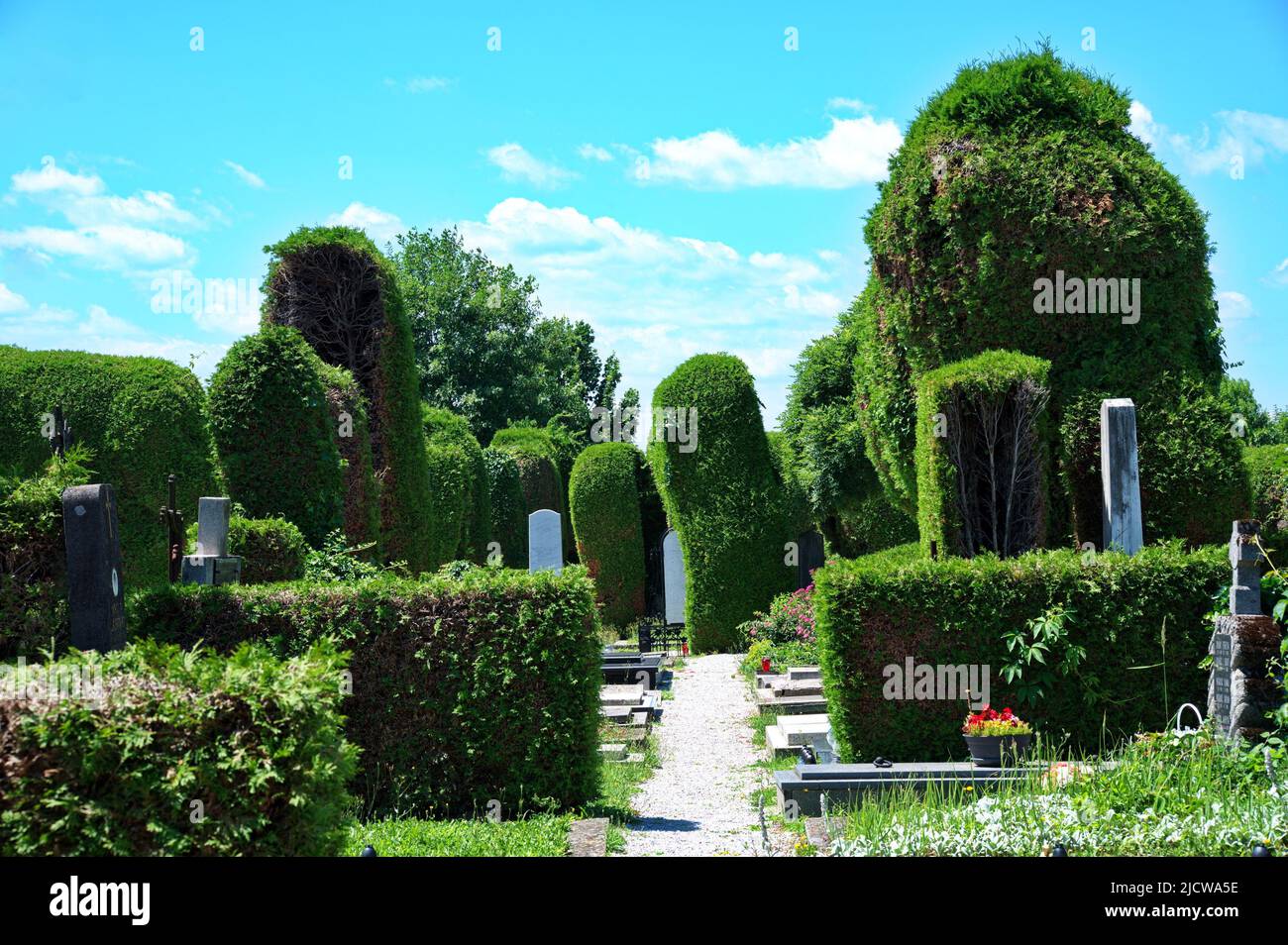Cypress tomb hi-res stock photography and images - Alamy