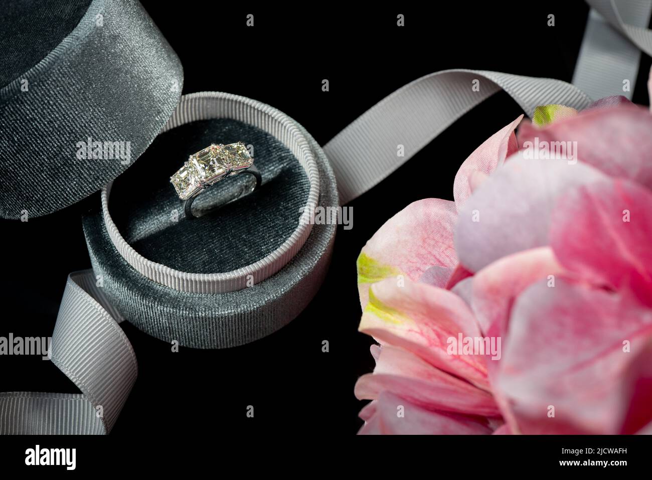 Surprised stone hi-res stock photography and images - Alamy