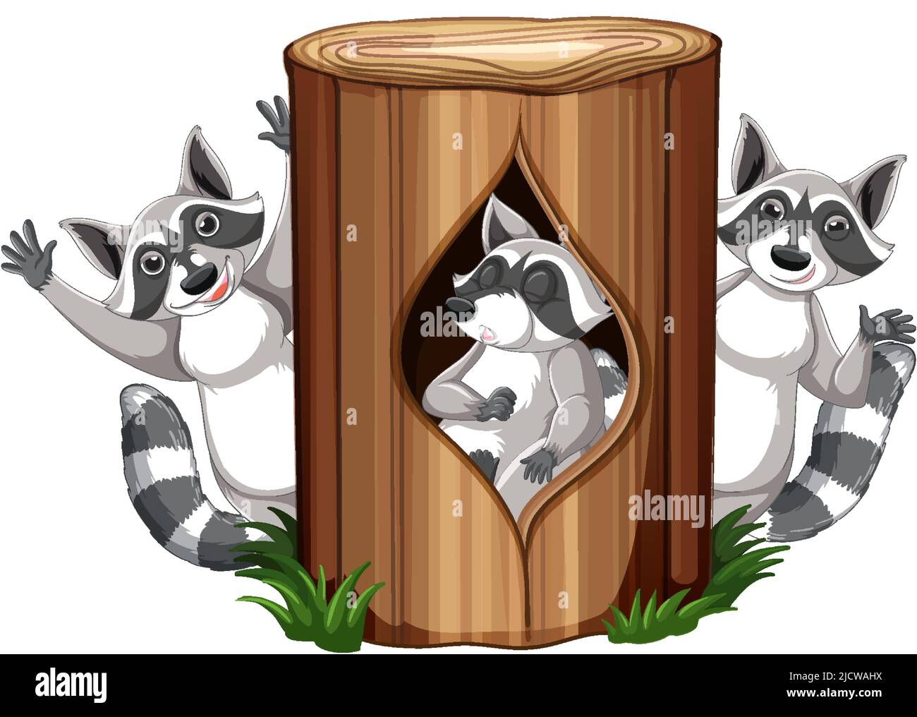 Three raccoons hi-res stock photography and images - Alamy