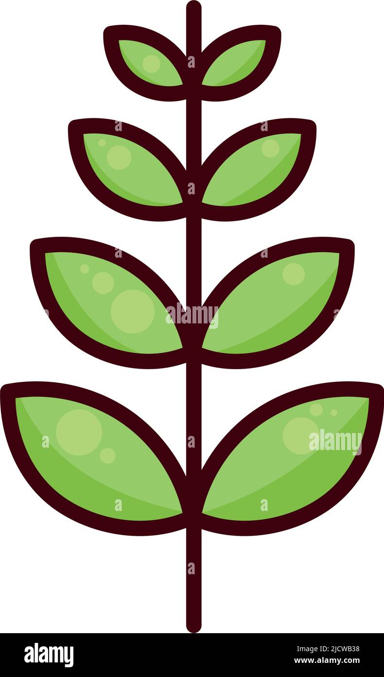 corn plant leafs farm icon Stock Vector Image & Art - Alamy