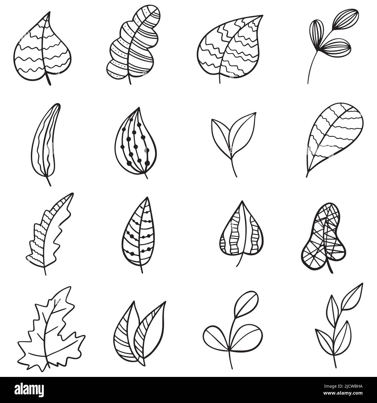 Set of Hand drawn doodle vector leaves and branches. Floral, plant ...