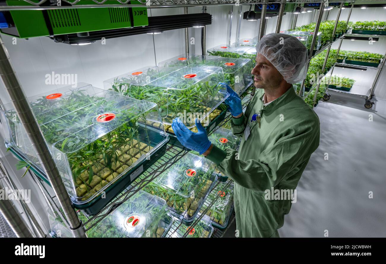 Clone room hi-res stock photography and images - Alamy