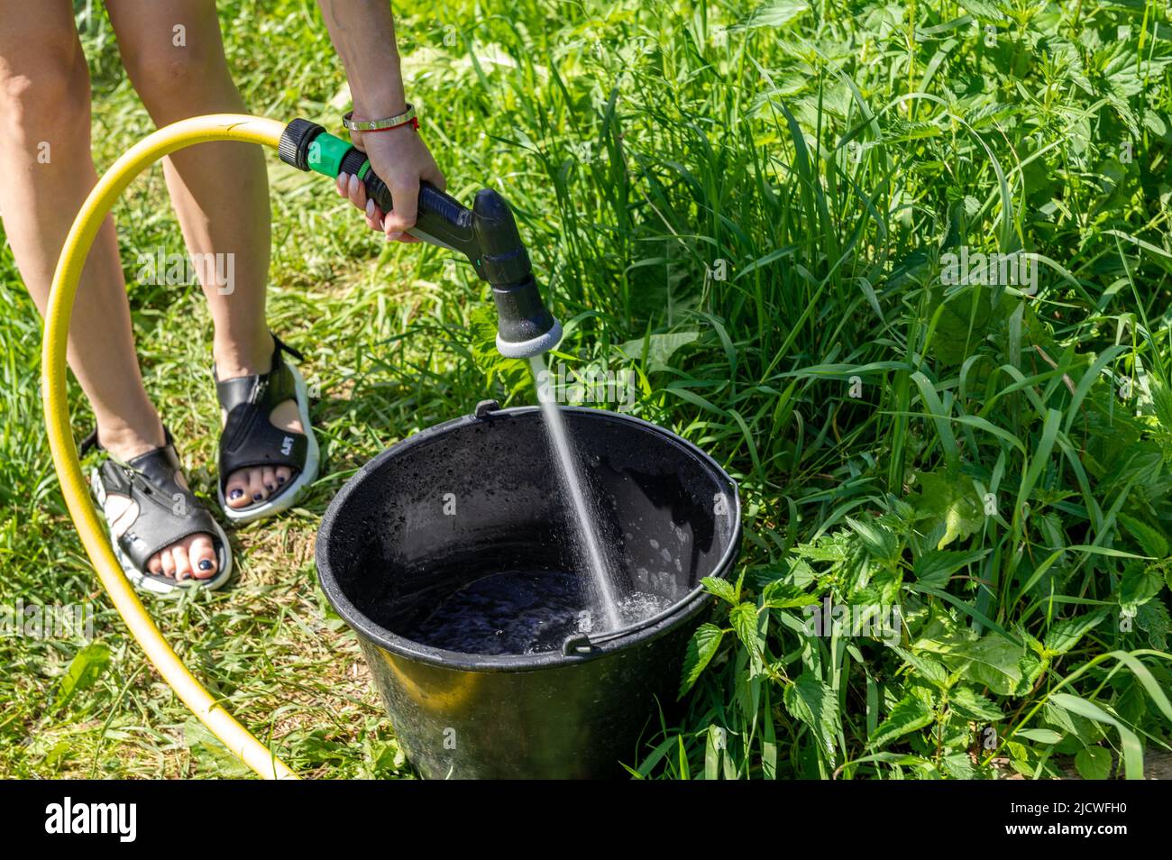 Rainwater collecting in bucket hi-res stock photography and images - Alamy