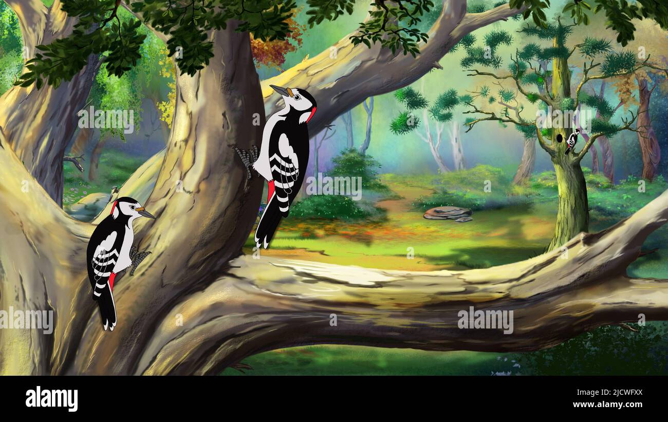 Cartoon woodpecker on tree hi-res stock photography and images - Alamy