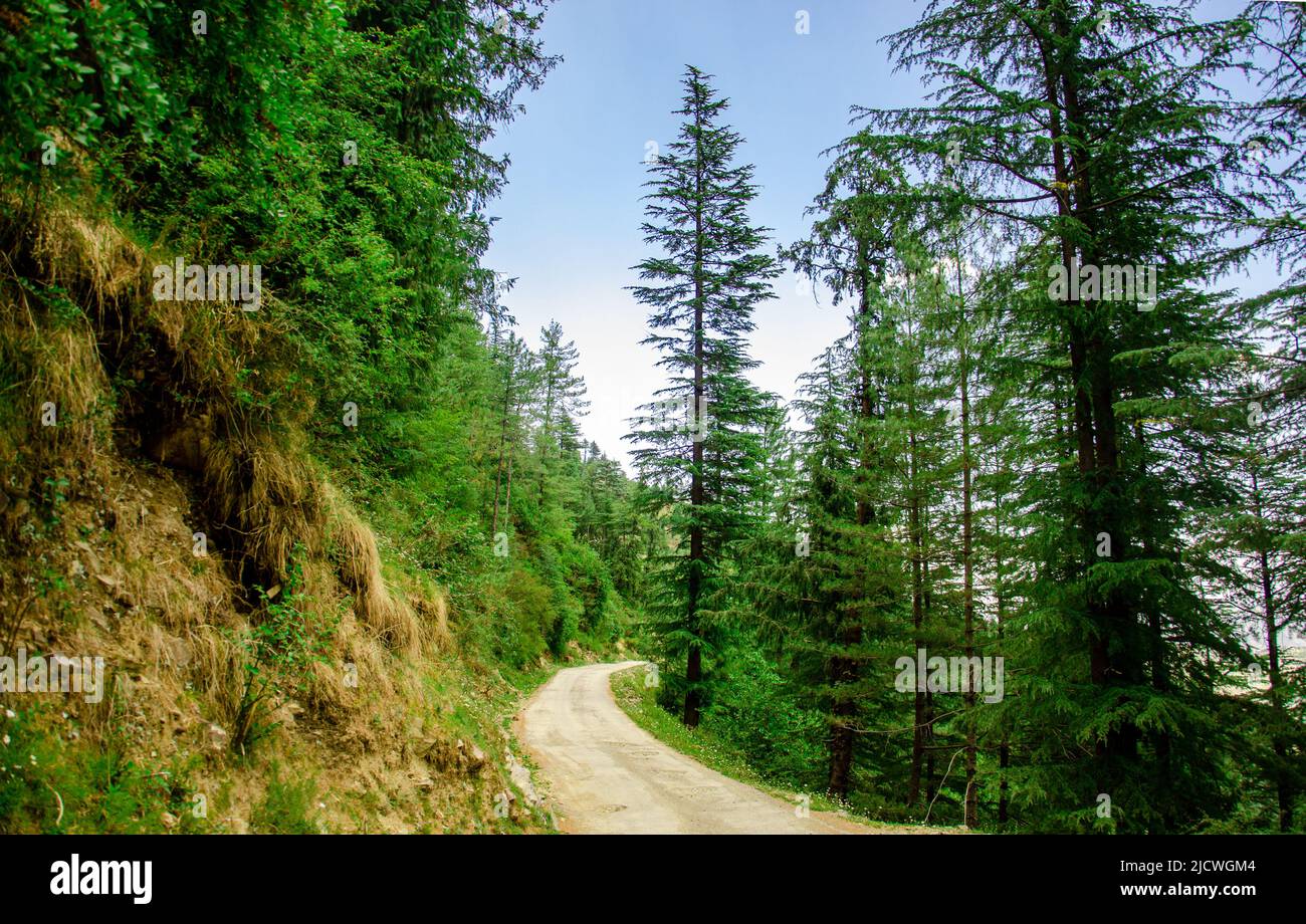 Endless path for your endless journey Stock Photo - Alamy