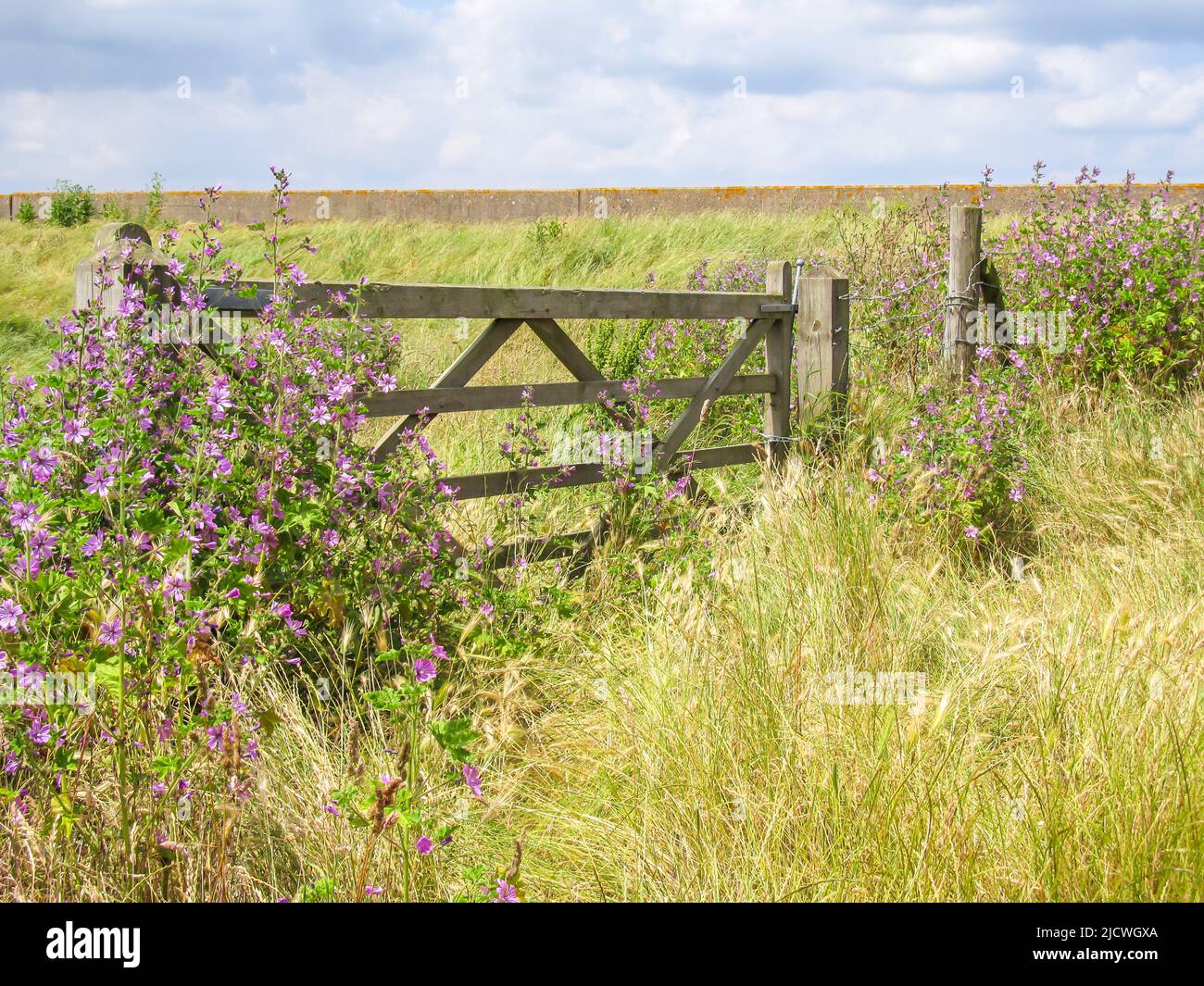 Wooden gate on a nature reserve hi-res stock photography and images - Alamy