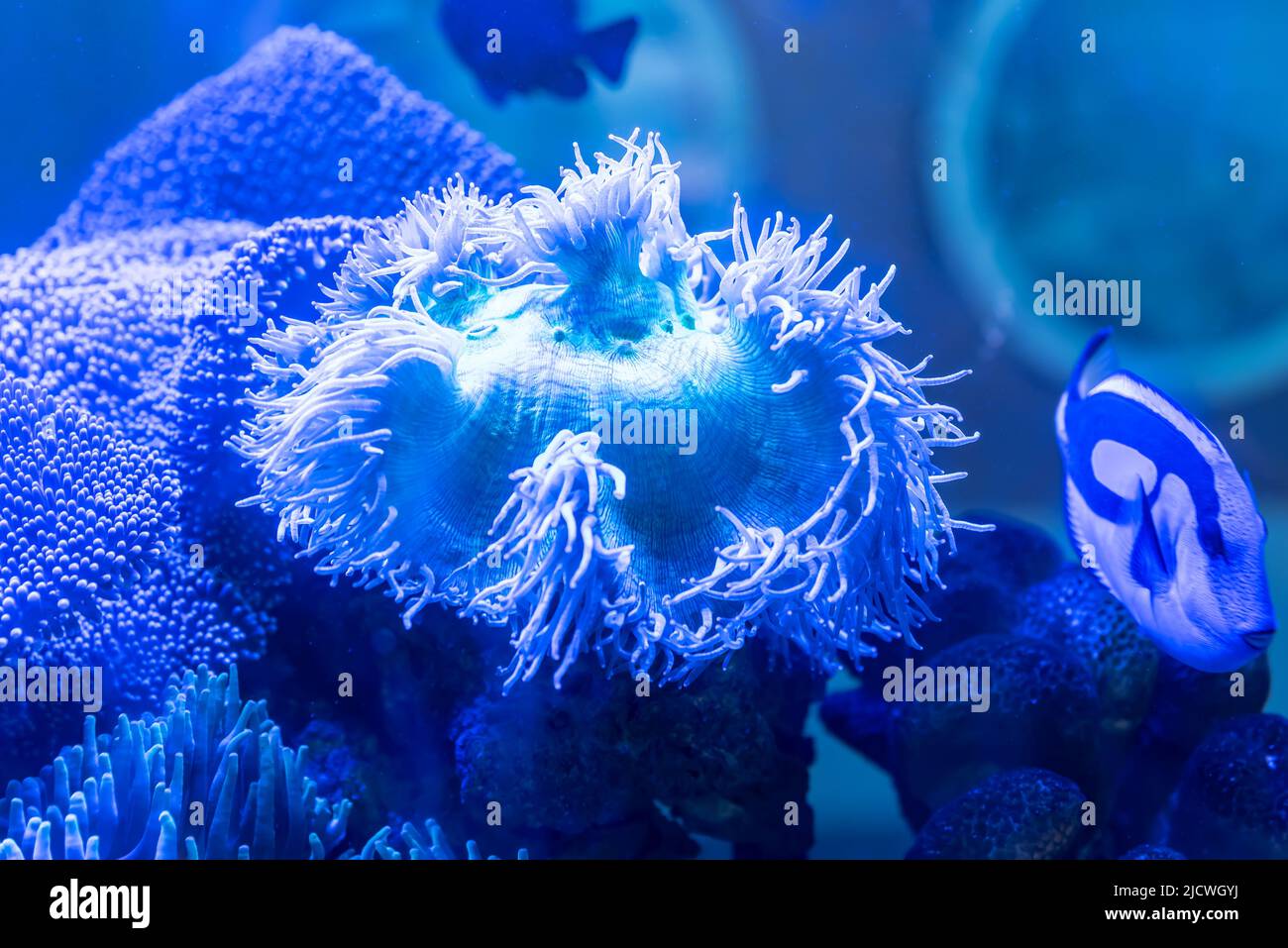 Labuan museum hi-res stock photography and images - Alamy