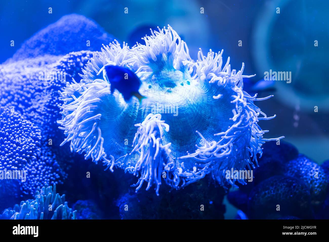 Labuan, Malaysia-June 09, 2021: View of the Labuan International sea ...