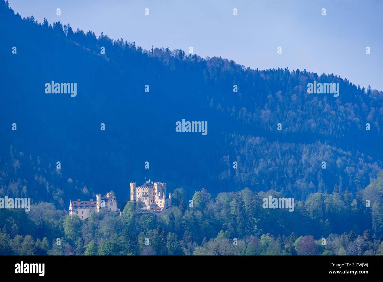 view of Hohenschwangau, Bavaria, Germany Stock Photo - Alamy