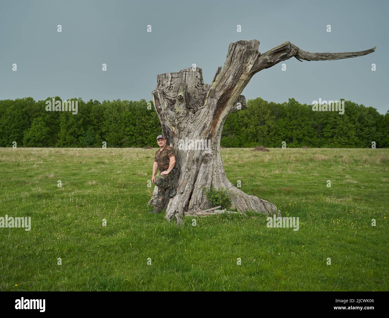 Game ranger by a huge stump in the oak forest, dressed in camouflage Stock Photo - Alamy