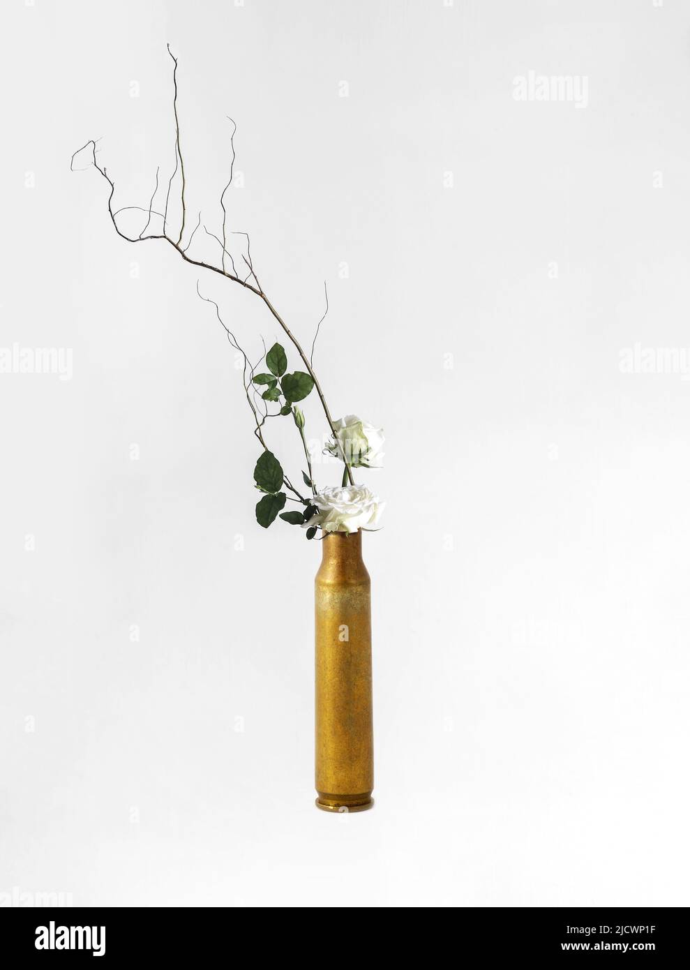 Bullet flower. It bloomed from the bullet. Photo manipulation. Peace ...