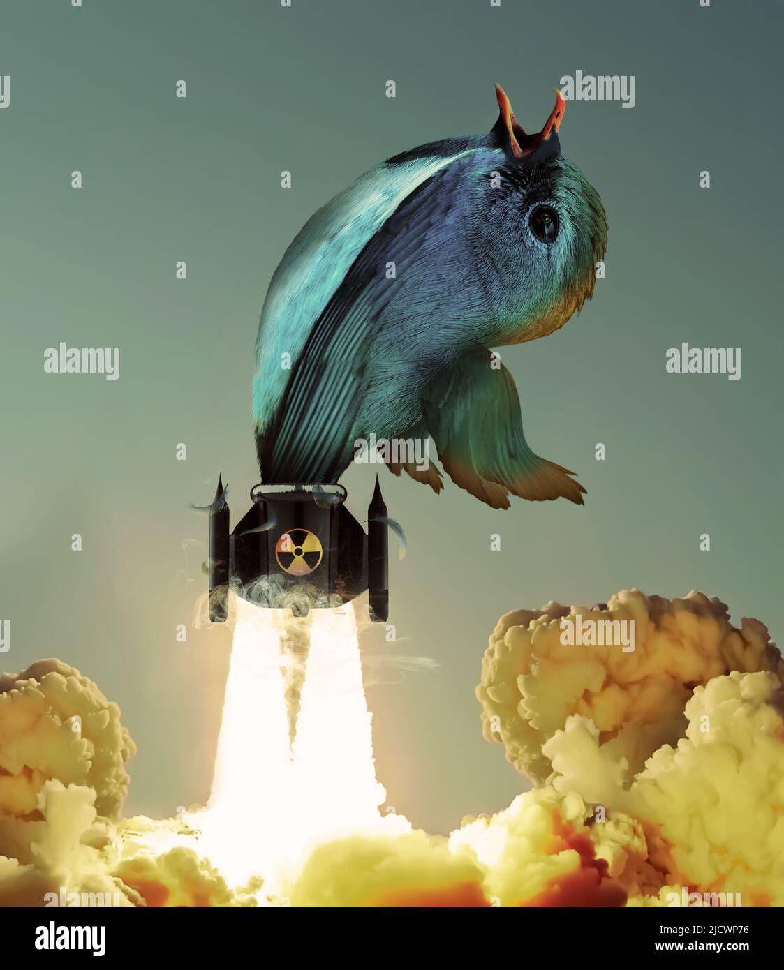 Social media psychological warfare. Missile and fired bird. And ...