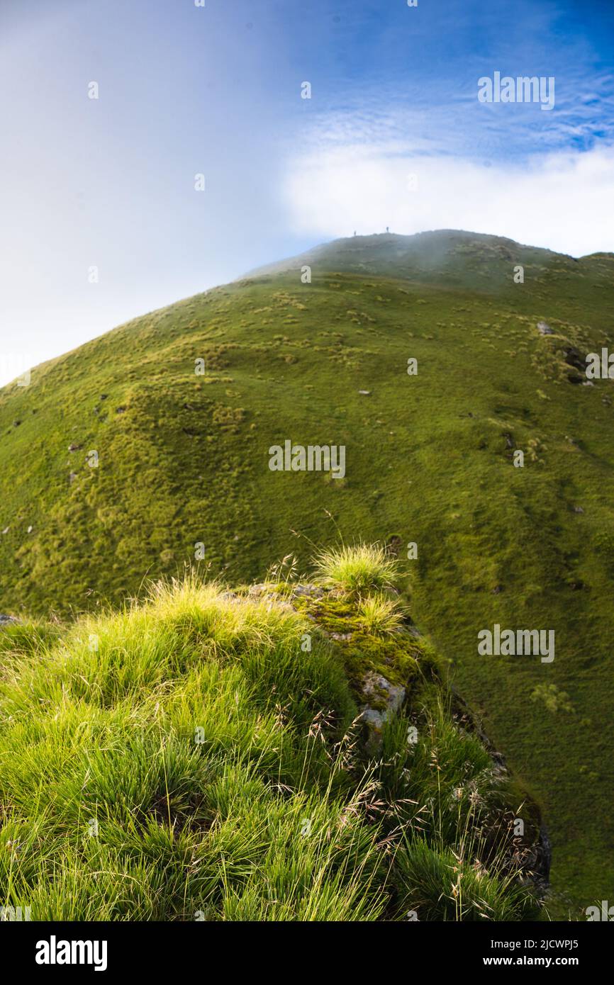 The Khaliya Top is a meandering meadow surrounded by snowy peaks ...