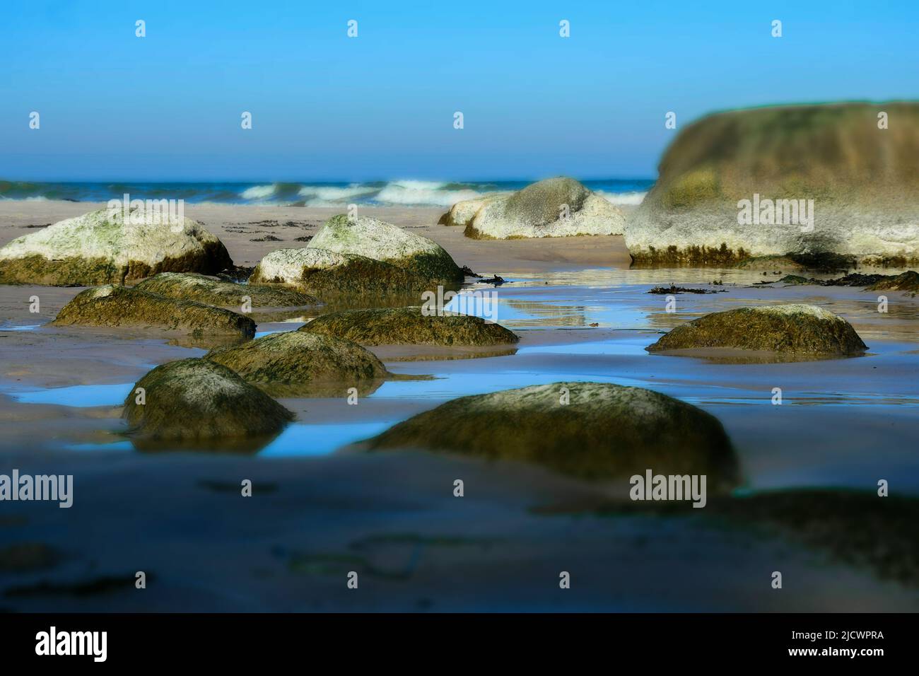 Algae covered rocks on a beach Stock Photo - Alamy