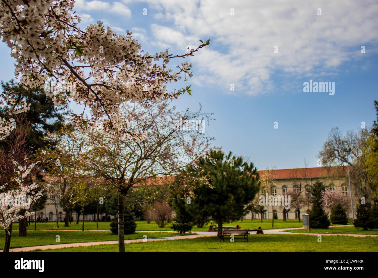 Campus scenes hi-res stock photography and images - Alamy