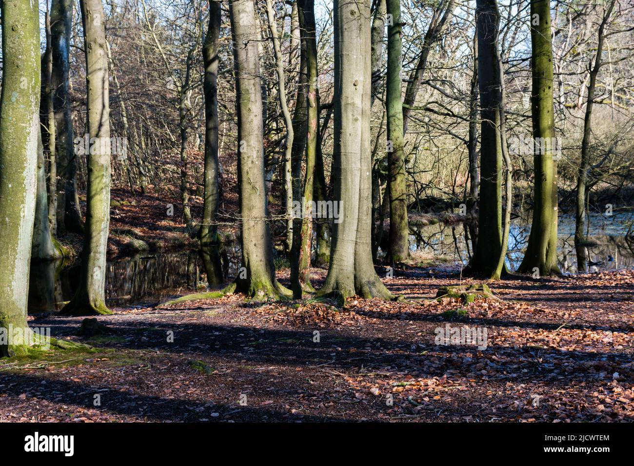 Untouched wetlands hi-res stock photography and images - Alamy