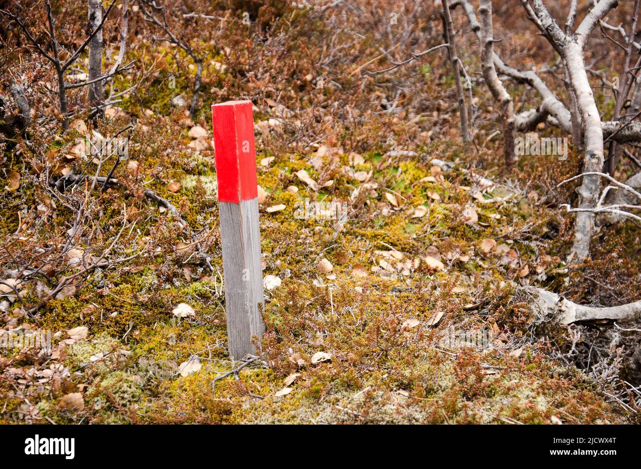 Wooden pole, partly painted red, as a trail marker in a lavafield in ...