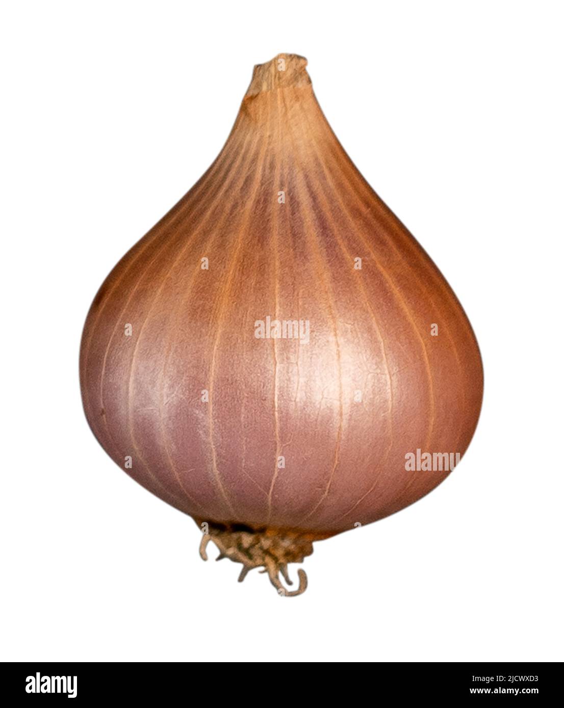 onion isolated on white background Stock Photo - Alamy