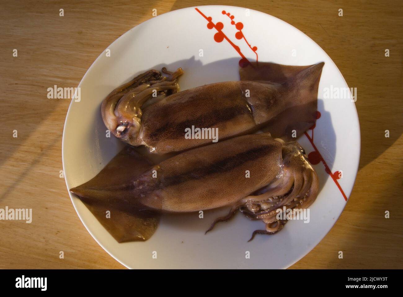 Squid and cuttlefish hi-res stock photography and images - Alamy