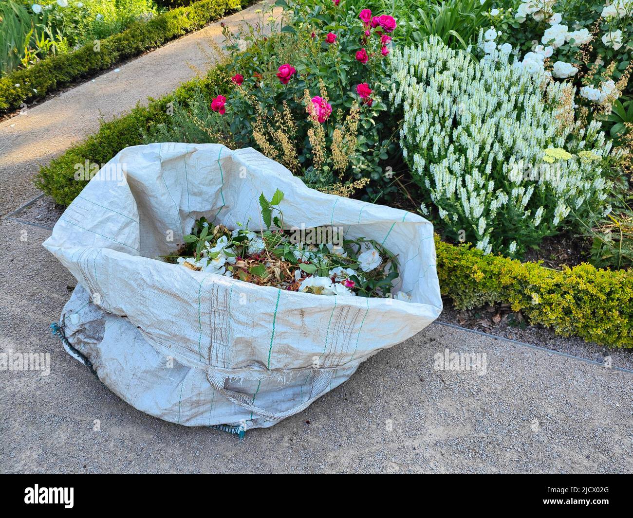 Garden waste recycling, bags in garden Stock Photo - Alamy