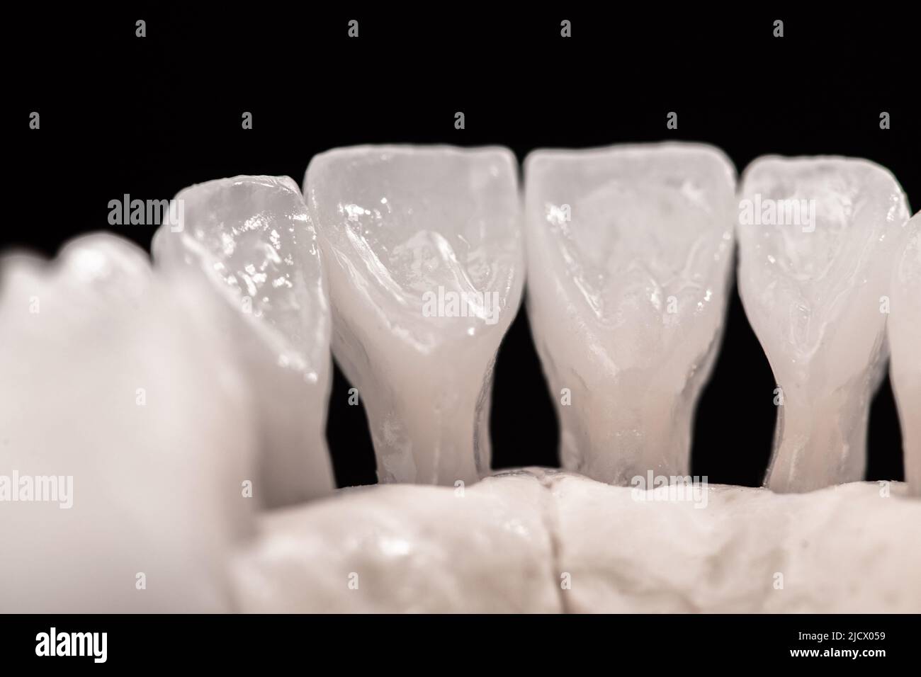 Lower human jaw with teeth anatomy model isolated on black background ...