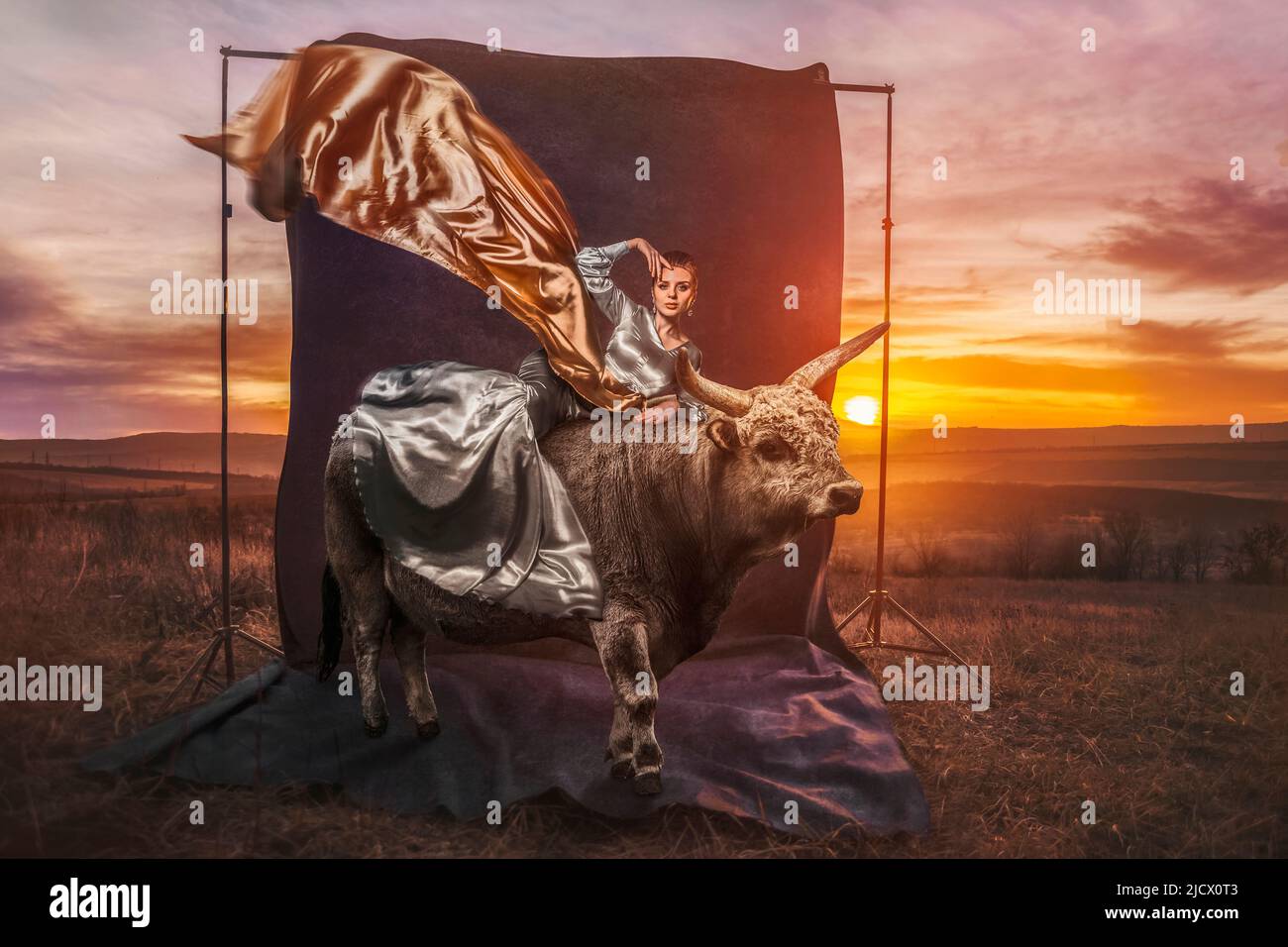 Beautiful woman with bull in sunset Stock Photo - Alamy