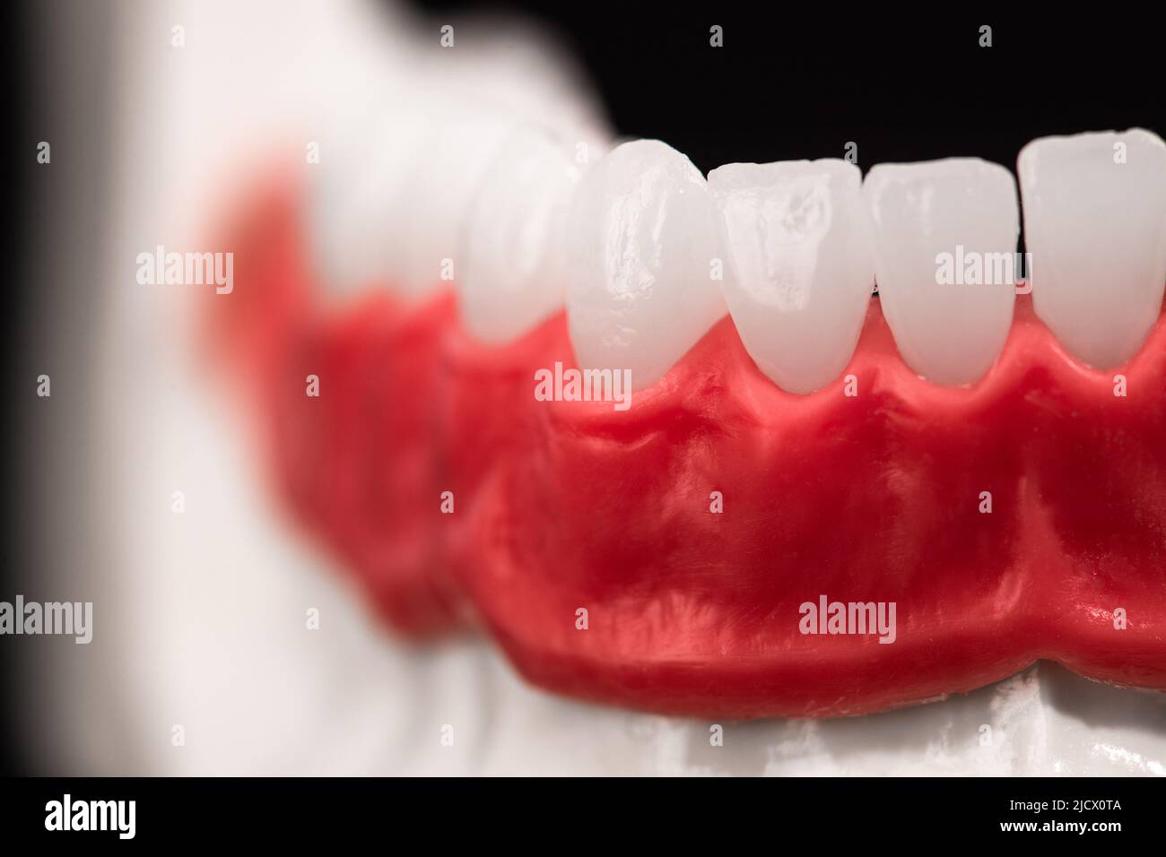 Lower human jaw with teeth and gums anatomy model isolated on blue ...