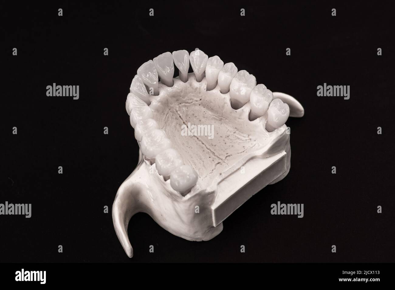 Lower human jaw with teeth anatomy model isolated on black background ...