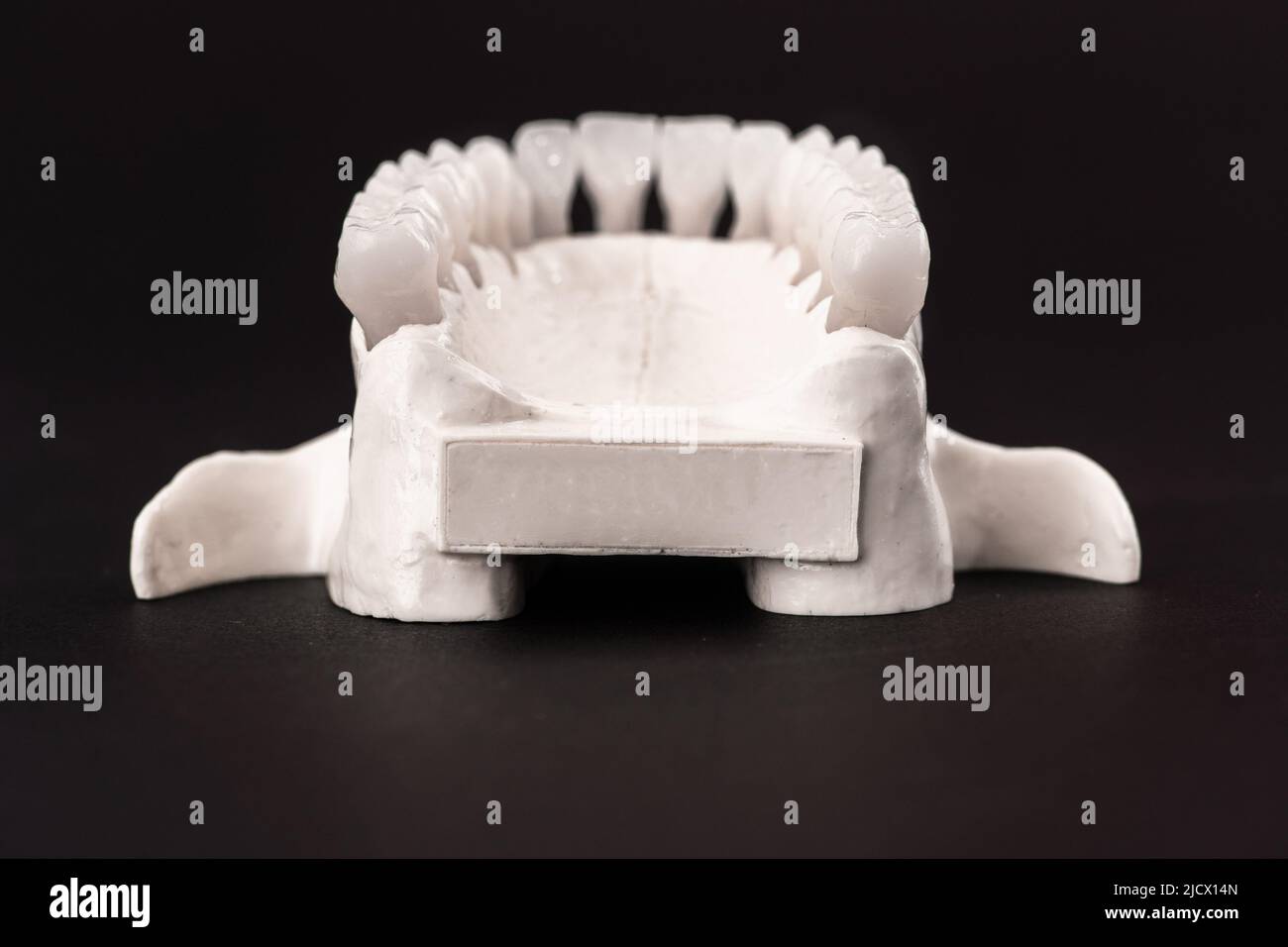 Lower human jaw with teeth anatomy model isolated on black background ...
