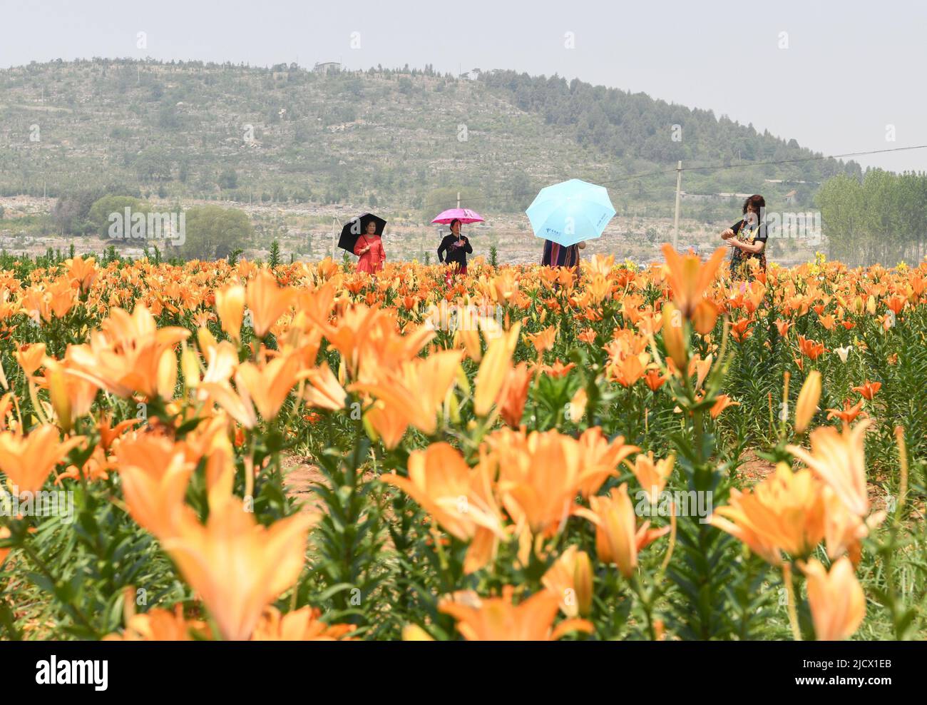 Fuli china hi-res stock photography and images - Alamy