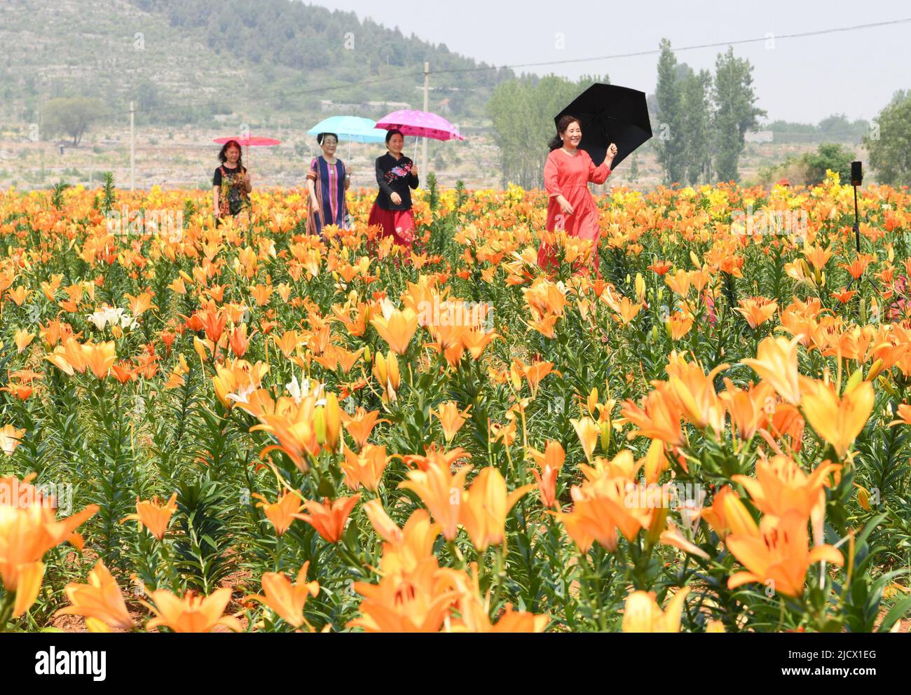 Fuli china hi-res stock photography and images - Alamy